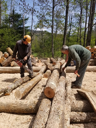 Adventure-Based Treatment – Mount Prospect Academy